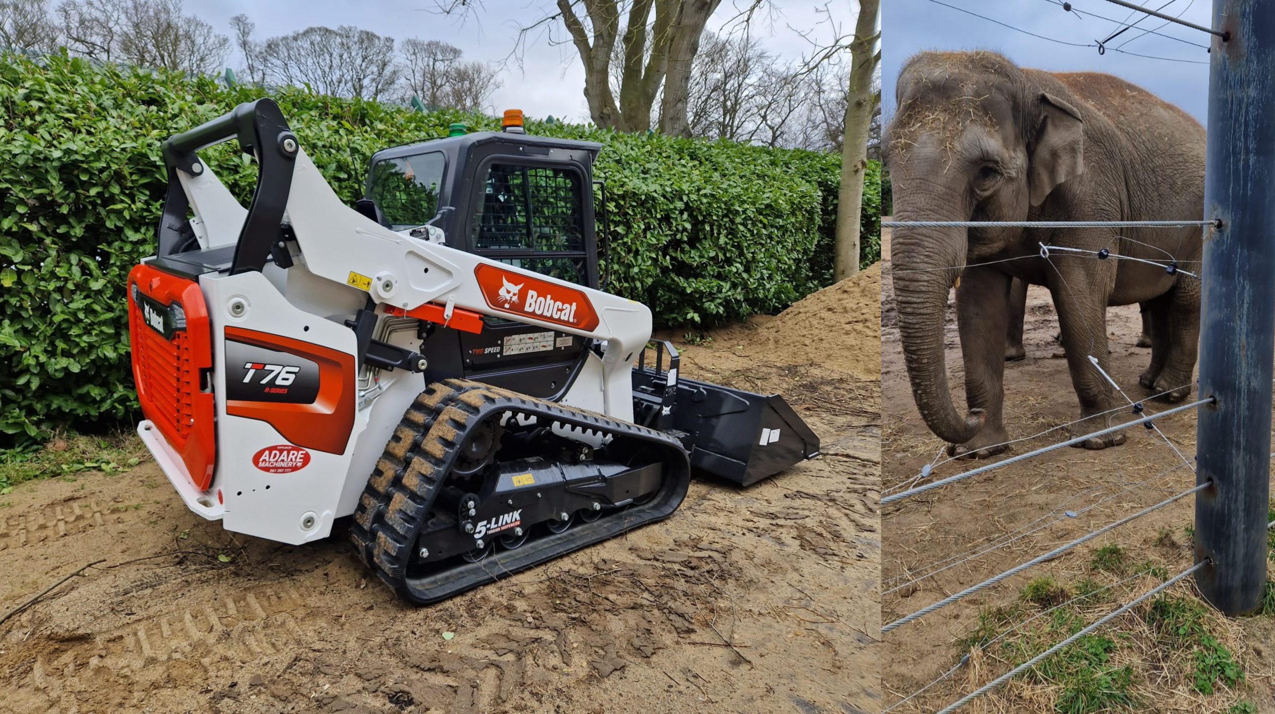 Bobcat T76 Lands in Dublin Zoo - Adare Machinery